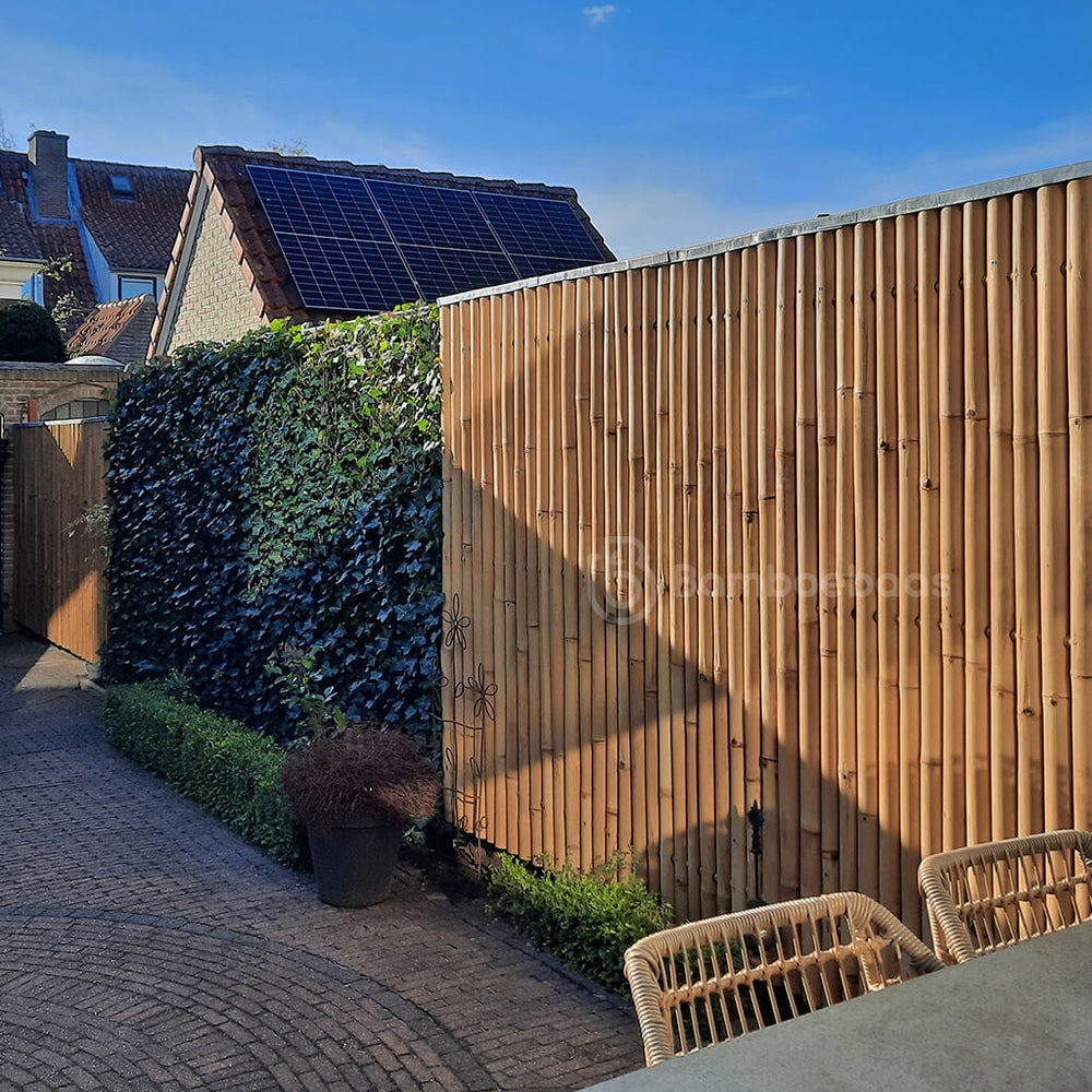 Bamboe schutting Giga - 180x180 cm - Naturel